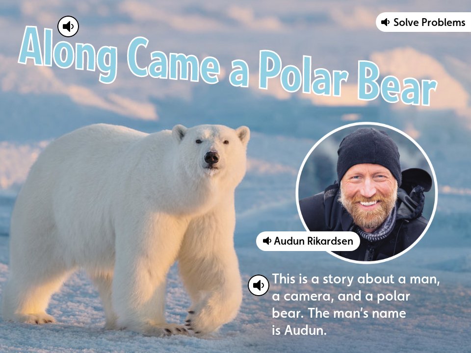 Polar Bear 3 - Voyager November/December 2019