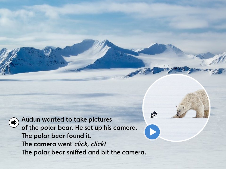 Polar Bear 3 - Voyager November/December 2019