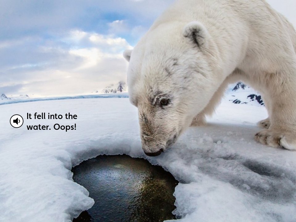 Polar Bear 3 - Voyager November/December 2019