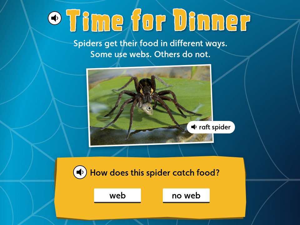 Spiders at Work 3 - Voyager November/December 2020