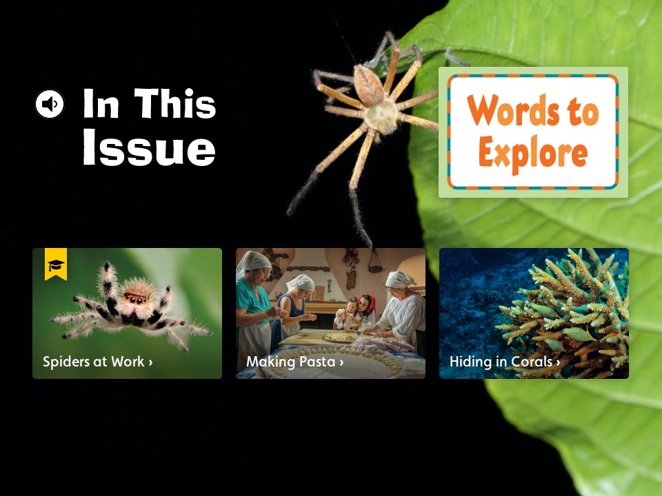 Spiders at Work 3 - Voyager November/December 2020