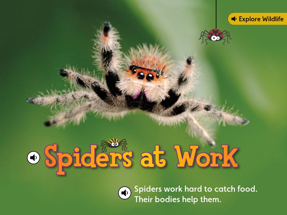 Spiders at Work 1 - Voyager November/December 2020
