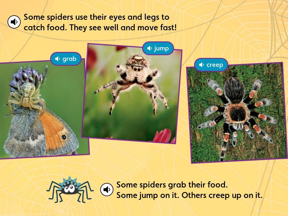 Spiders at Work 4 - Voyager November/December 2020