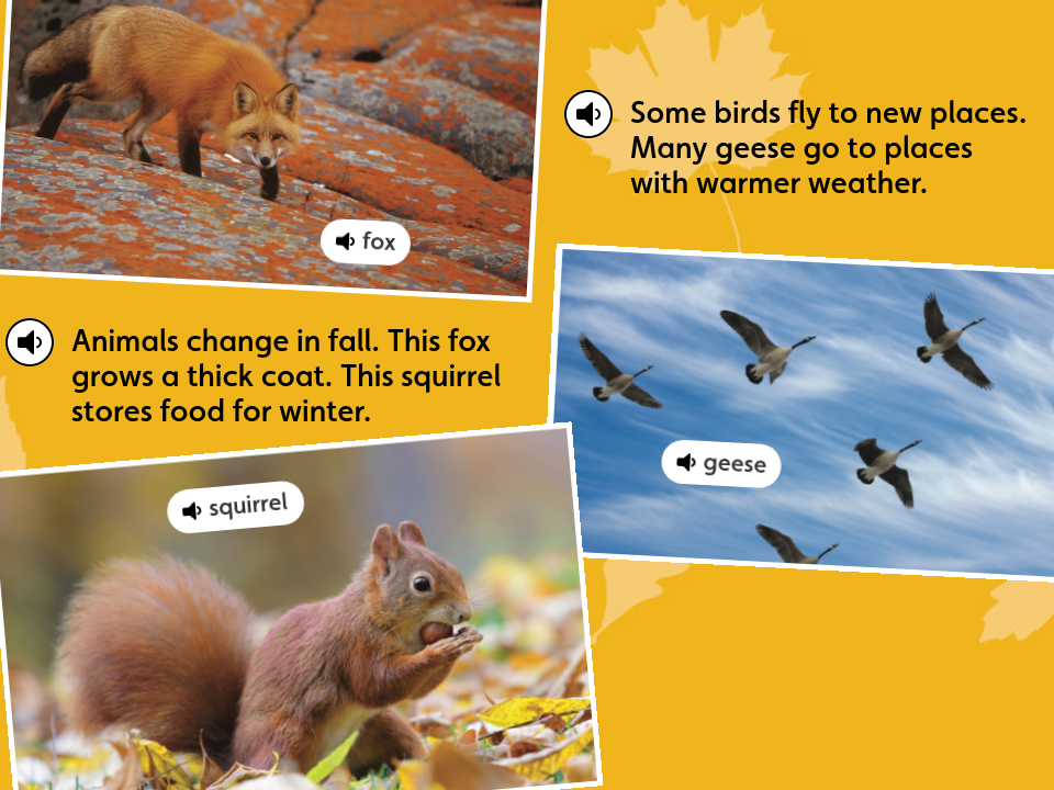 Animals - What changes in fall - Voyager October 2018