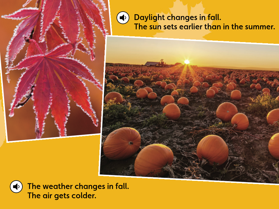 Daylight & Weather - What changes in fall - Voyager October 2018