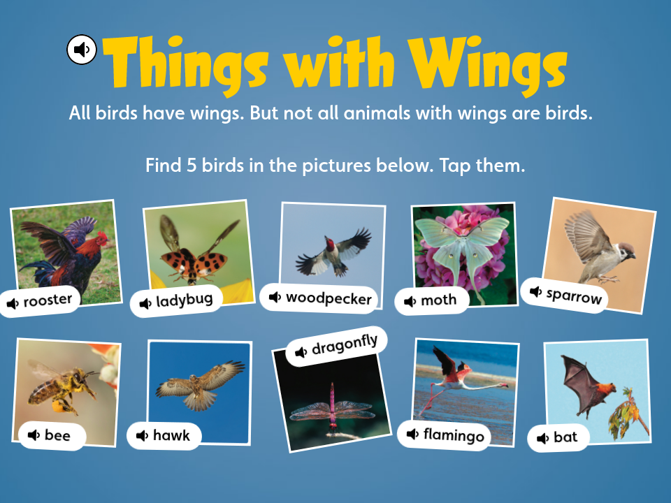 Things with Wings - Voyager October 2018