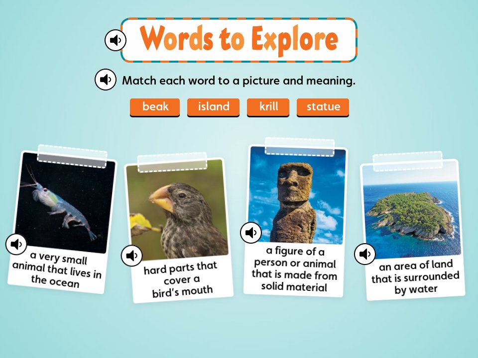 Whale Food 4 - Voyager October 2019