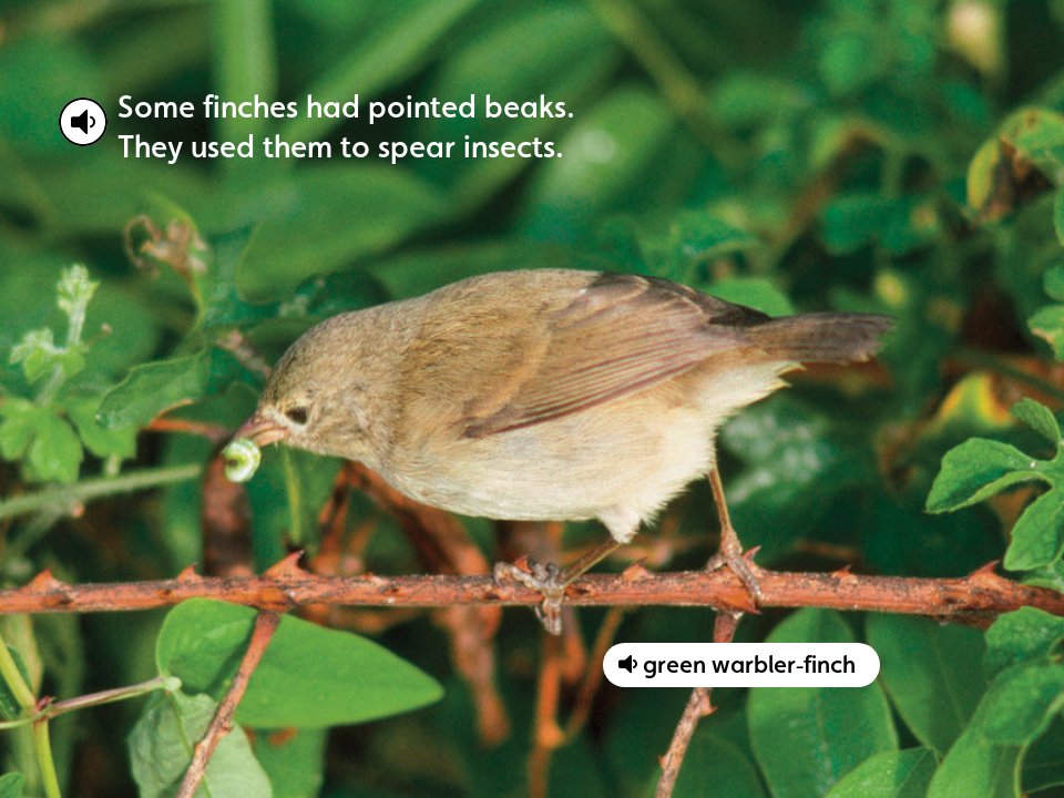 Whale Food 2 - Voyager October 2019