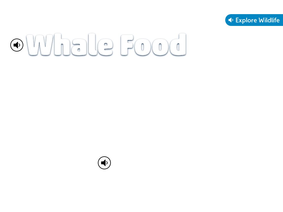 Whale Food 1 - Voyager October 2019