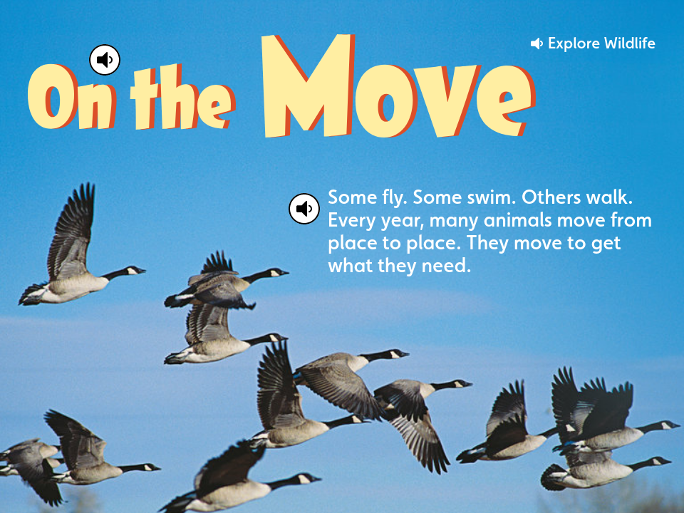 On the Move - Voyager September 2018